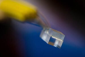 Lensed PM Fiber Array - Fiber Array Webshop